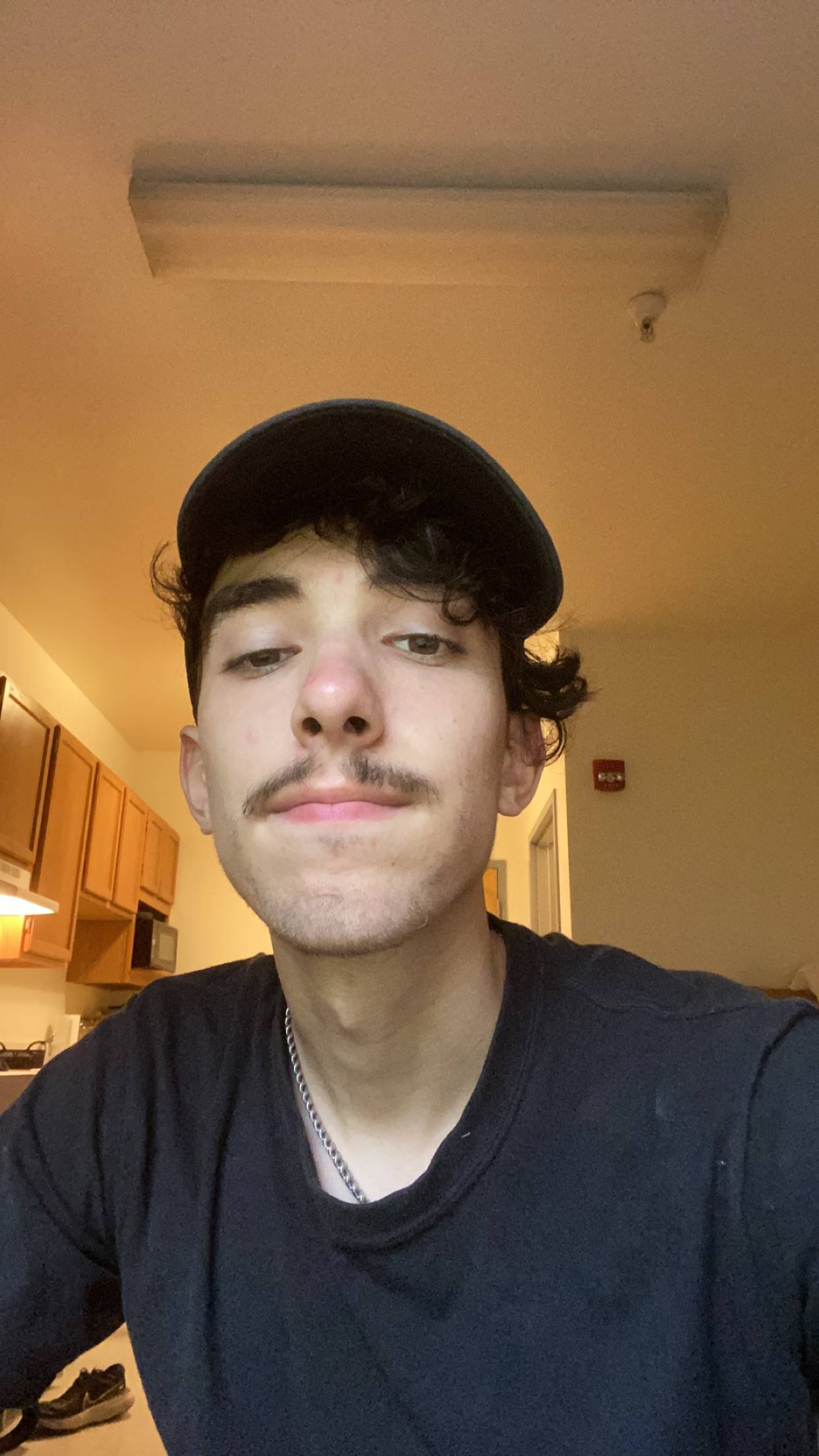 Welcome to North C, Hills, and Frey - #GVSURA Resource Website - Grand ...